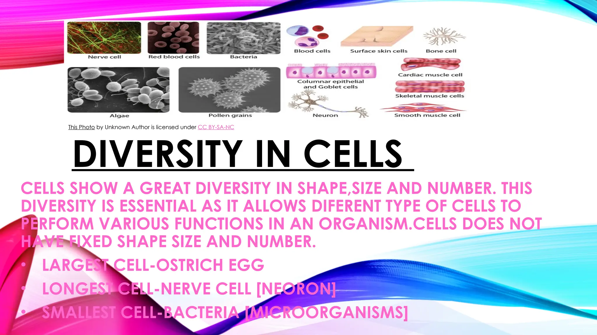 Class 6 ICSE biology (BIO THE CELL) NOTES | PPTX
