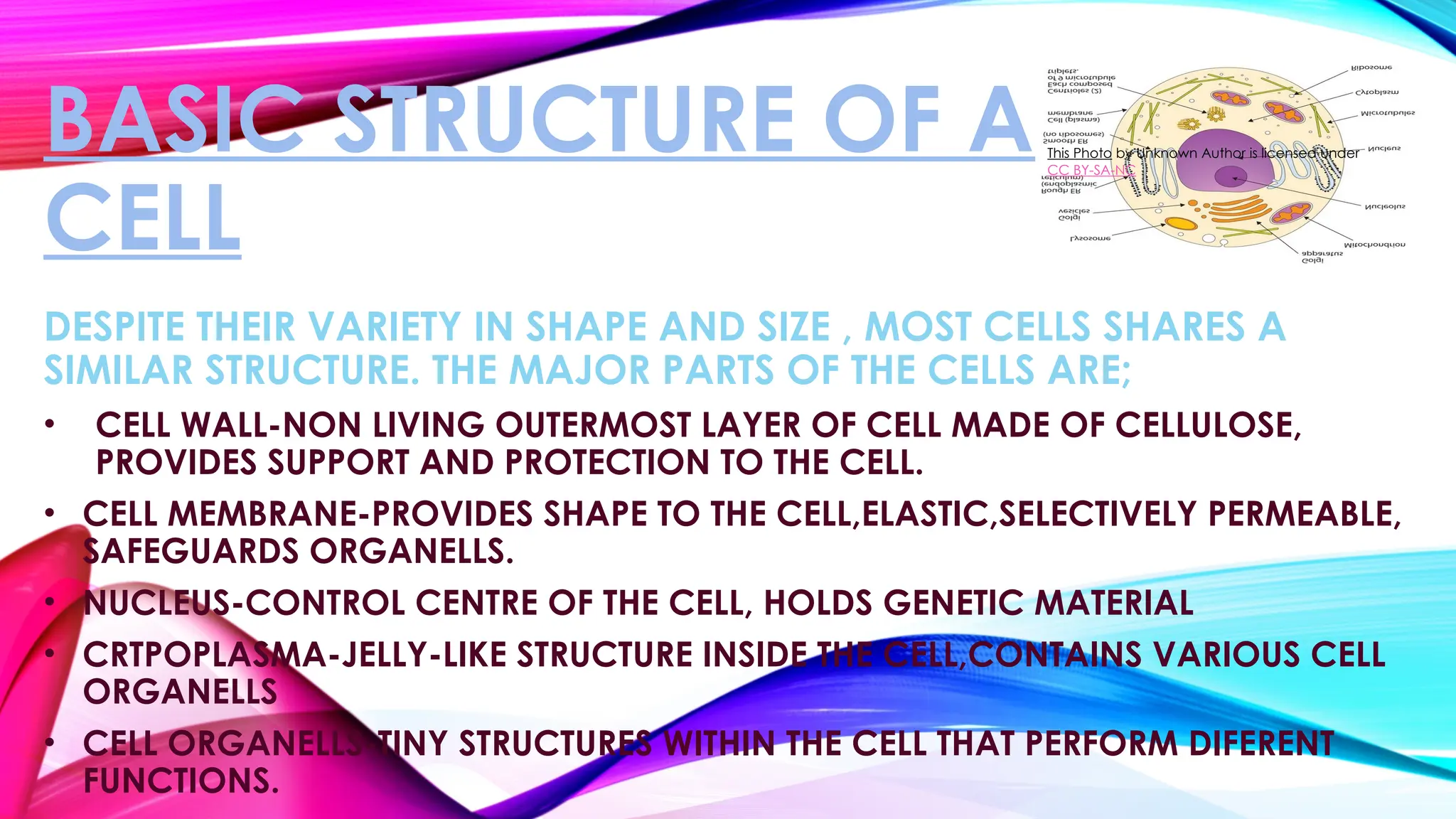 Class 6 ICSE biology (BIO THE CELL) NOTES | PPTX