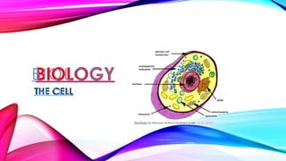 Class 6 ICSE biology (BIO THE CELL) NOTES | PPTX