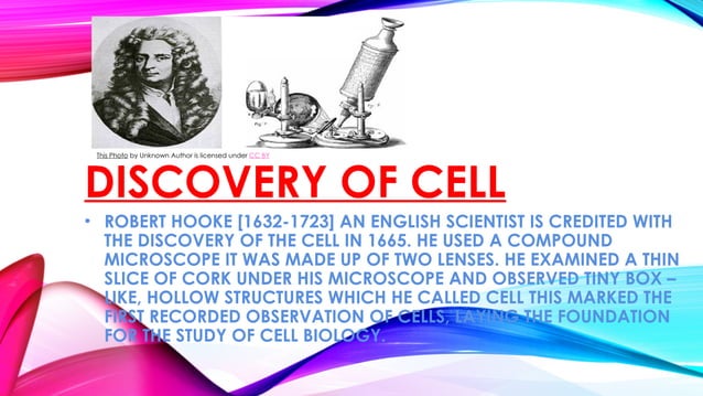 Class 6 ICSE biology (BIO THE CELL) NOTES | PPTX