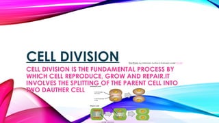 Class 6 ICSE biology (BIO THE CELL) NOTES | PPTX