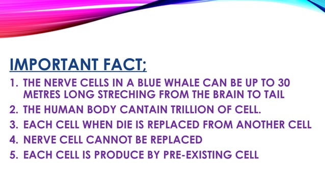 Class 6 ICSE biology (BIO THE CELL) NOTES | PPTX