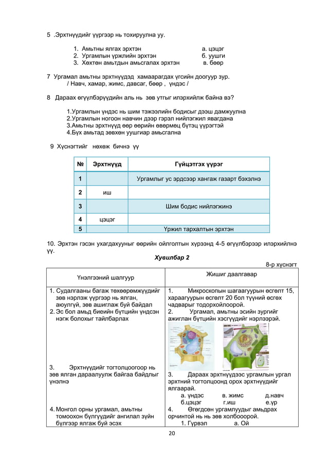 ЕРӨНХИЙ БОЛОВСРОЛЫН 12 ЖИЛИЙН СУРГУУЛИЙН 7 Р АНГИЙН БИОЛОГИЙН ХИЧЭЭЛИЙН СУРГАЛТЫН ХӨТӨЛБӨР Pdf