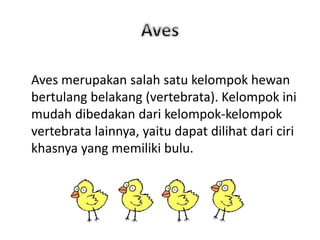 Biologi : aves | PPTX