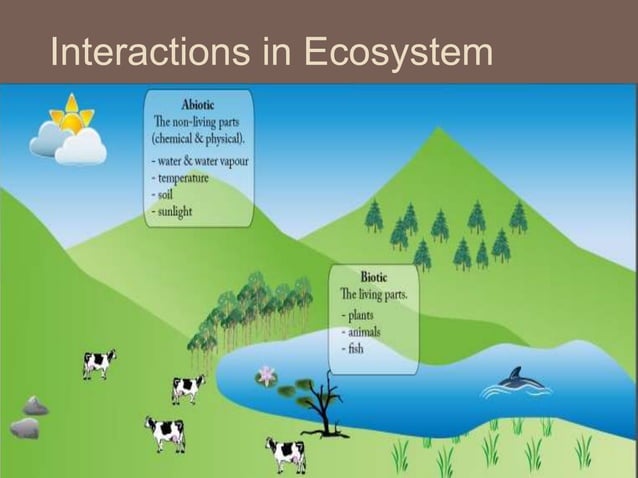 Environmental science | PPT