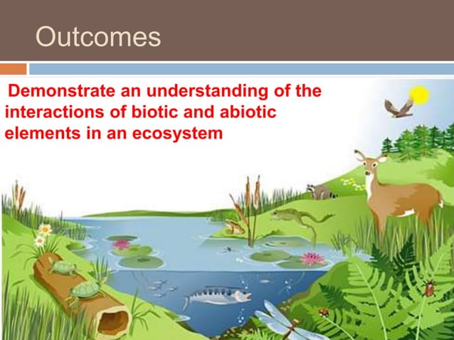 Environmental science | PPT