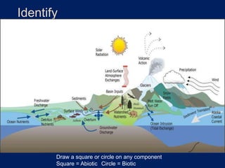 Environmental science | PPT