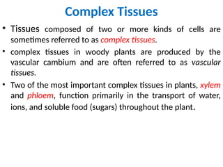 Biology-BIO241-lec4 for human health.pptx