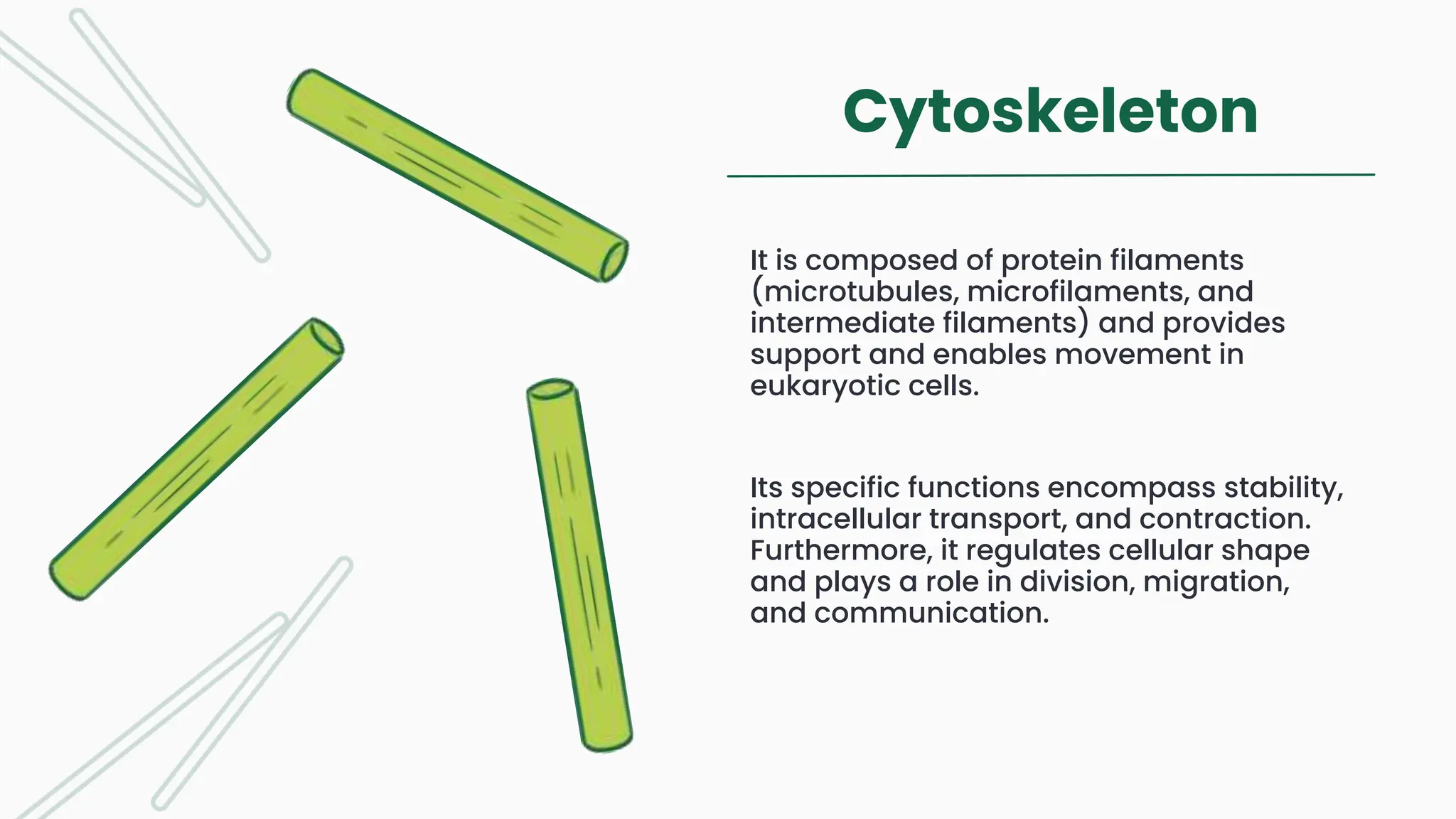 Biology: Fundamental Unit of Life -- Cell | PPTX