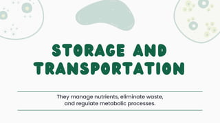 Biology: Fundamental Unit of Life -- Cell | PPTX