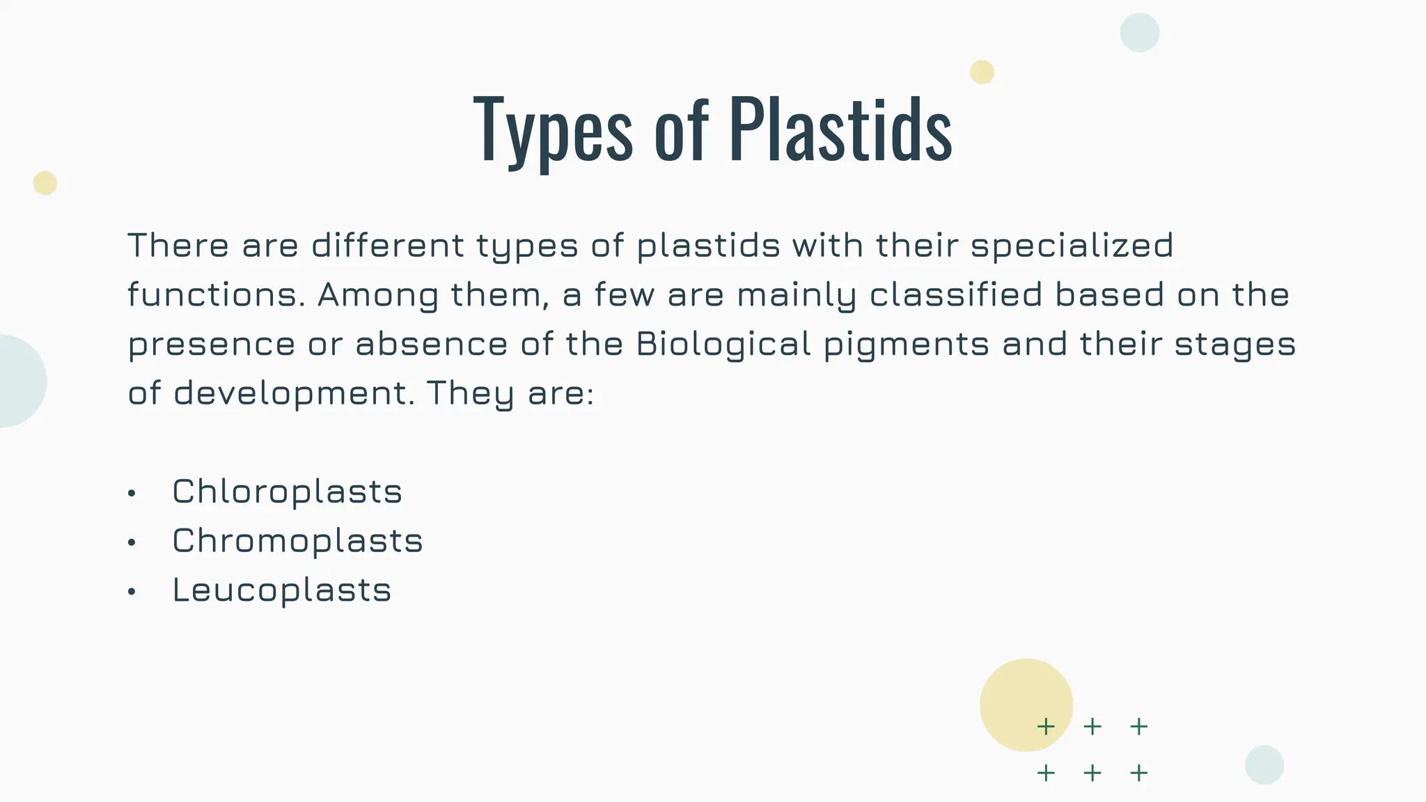 Biology - Cell-The Unit of Life (Mitochondria & Plastids) PPT Groupwork ...