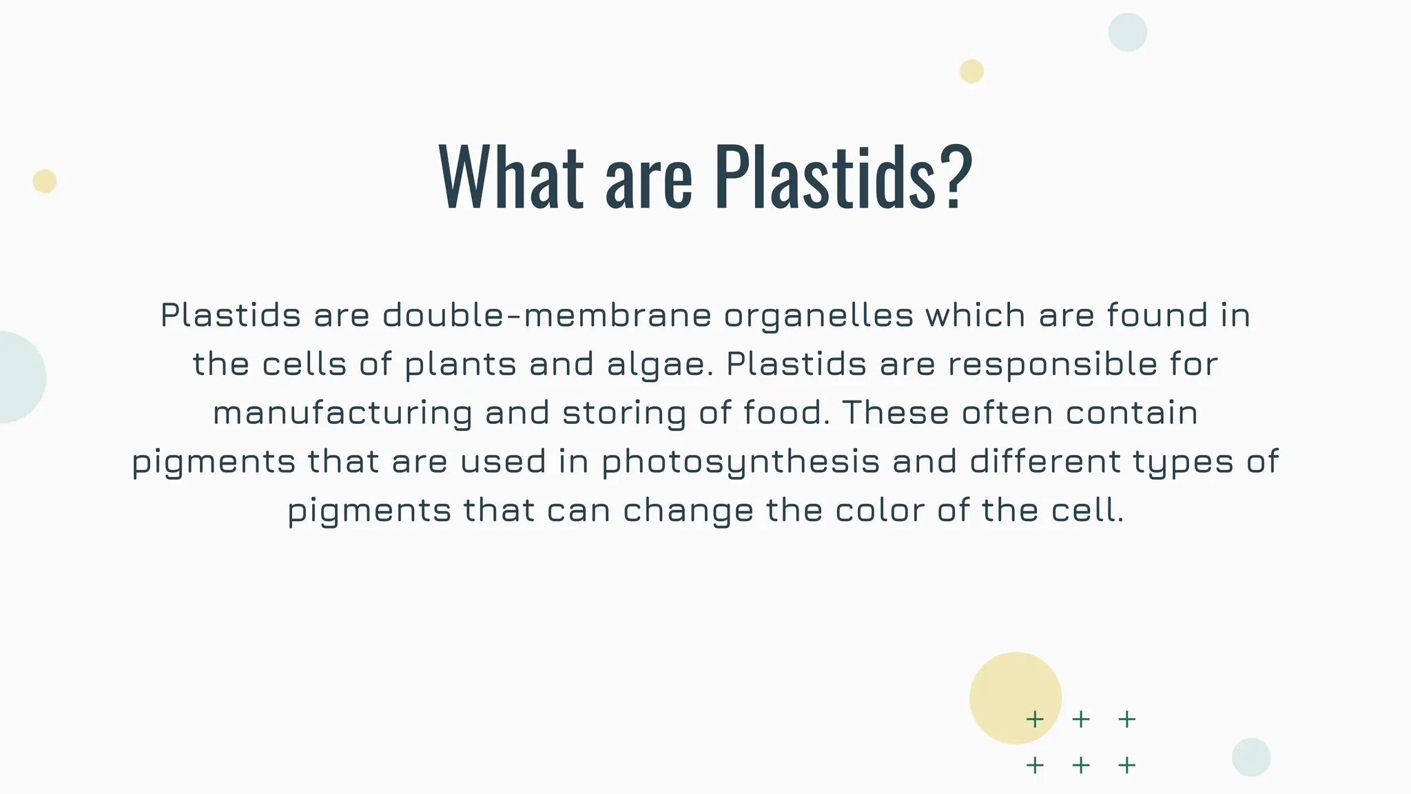Biology - Cell-The Unit of Life (Mitochondria & Plastids) PPT Groupwork ...