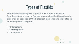 Biology - Cell-The Unit of Life (Mitochondria & Plastids) PPT Groupwork ...