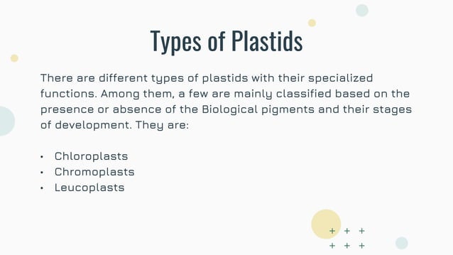 Biology - Cell-The Unit of Life (Mitochondria & Plastids) PPT Groupwork ...