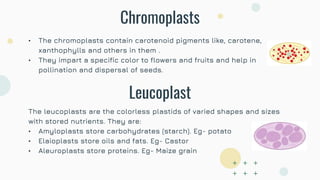 Biology - Cell-The Unit of Life (Mitochondria & Plastids) PPT Groupwork ...
