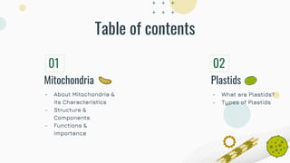 Biology - Cell-The Unit of Life (Mitochondria & Plastids) PPT Groupwork ...
