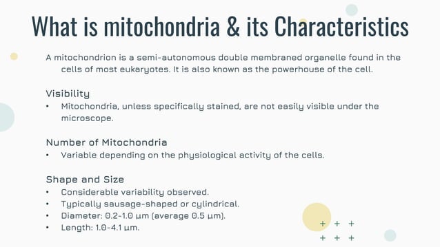 Biology - Cell-The Unit of Life (Mitochondria & Plastids) PPT Groupwork ...