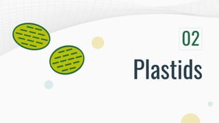 Biology - Cell-The Unit of Life (Mitochondria & Plastids) PPT Groupwork ...