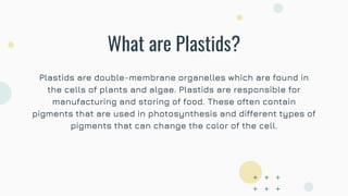 Biology - Cell-The Unit of Life (Mitochondria & Plastids) PPT Groupwork ...