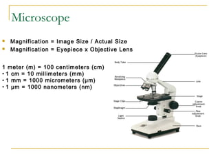 Biology - Cells | PPT