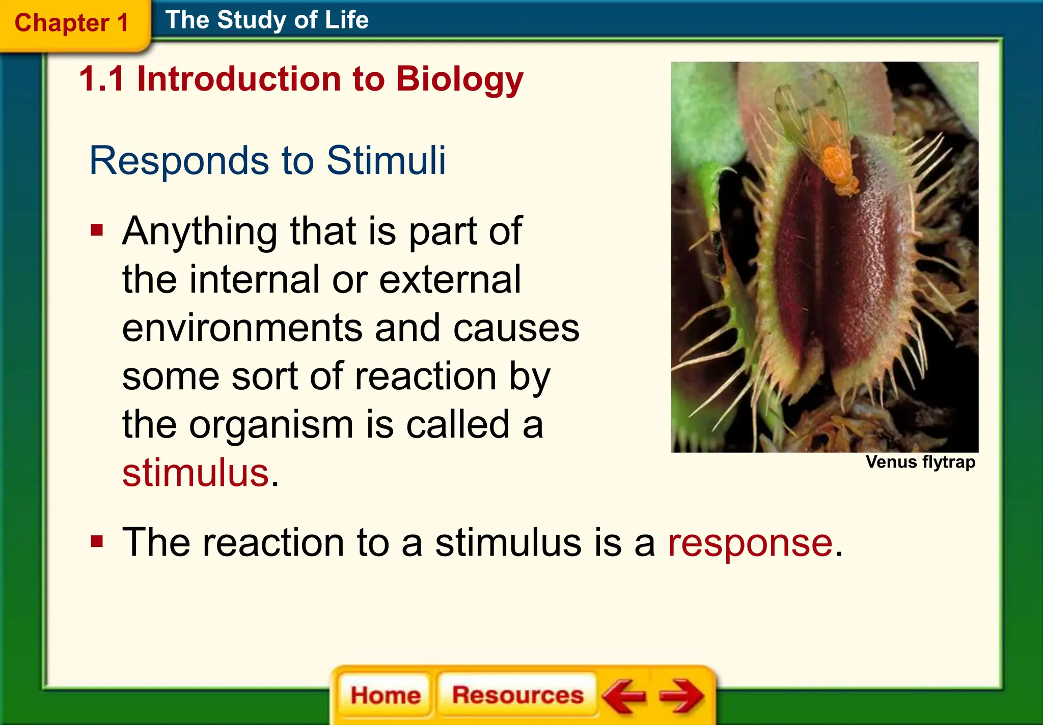 Biology-Chapter 1. Animal kingdom, phylum | PPT