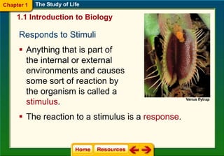 Biology-Chapter 1. Animal kingdom, phylum | PPT