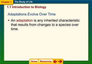 Biology-Chapter 1. Animal kingdom, phylum | PPT