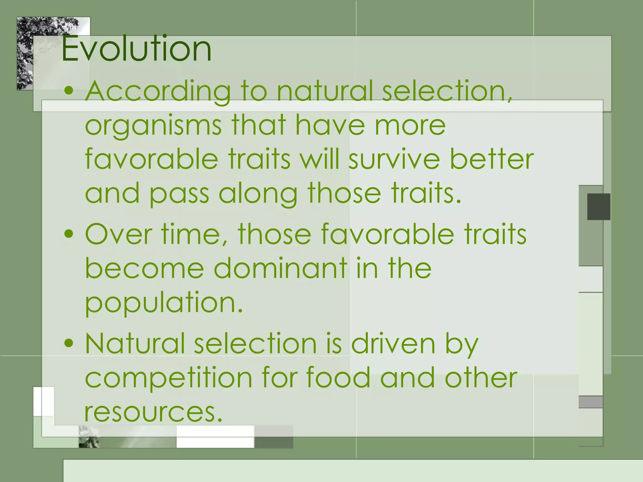 Biology Chapter 1 | PPT
