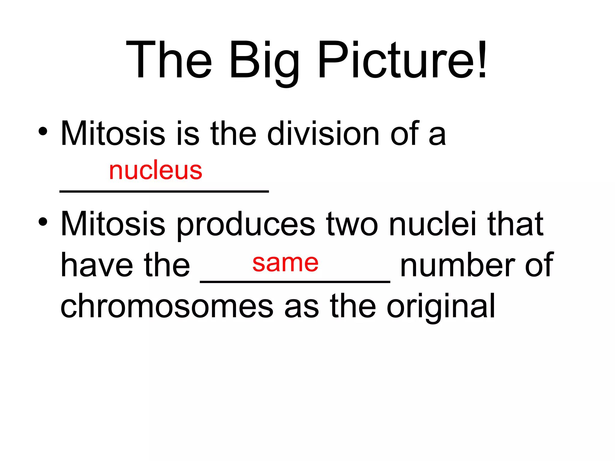 Biology - Chp 10 - Cell Growth And Reproduction - PowerPoint | PPT