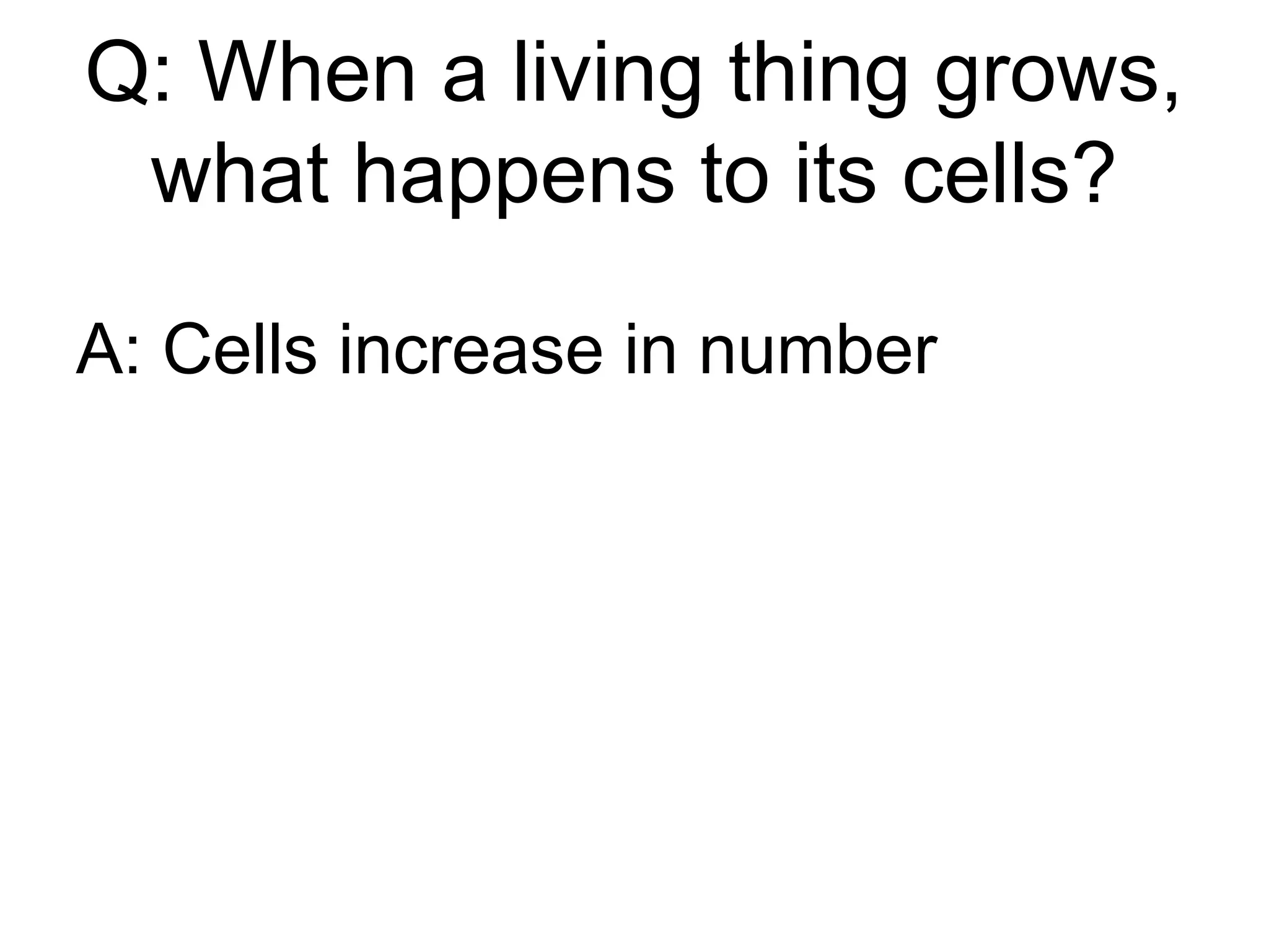 Biology - Chp 10 - Cell Growth And Reproduction - PowerPoint | PPT
