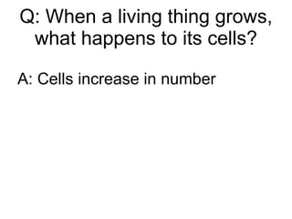 Biology - Chp 10 - Cell Growth And Reproduction - PowerPoint | PPT
