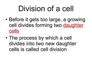 Biology - Chp 10 - Cell Growth And Reproduction - PowerPoint | PPT