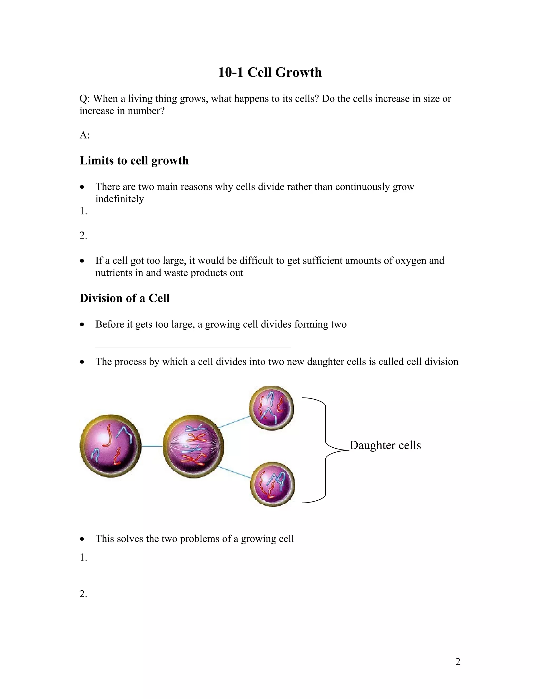 Biology - Chp10 - Cell Growth and Reproduction - Notes | DOC