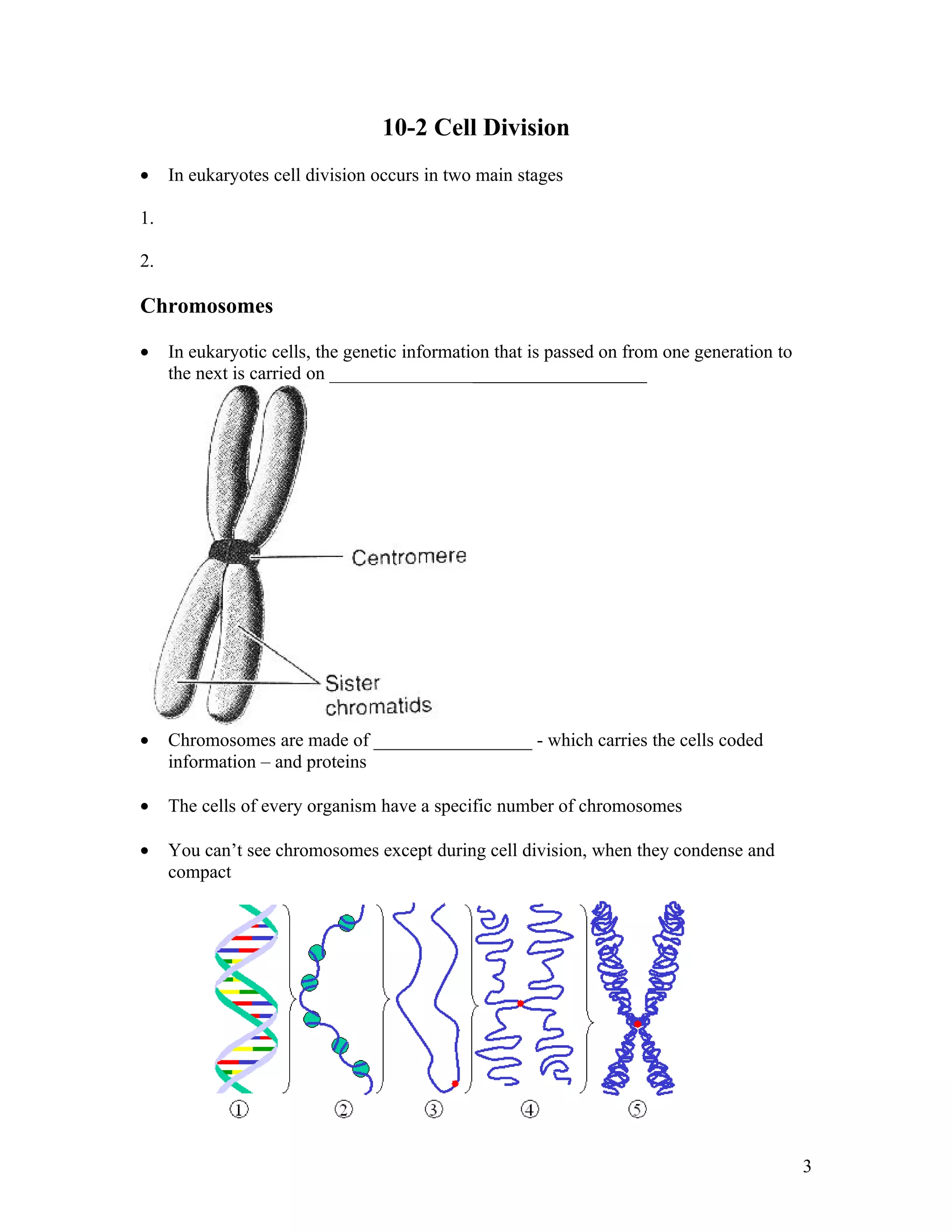 Biology - Chp10 - Cell Growth and Reproduction - Notes | DOC
