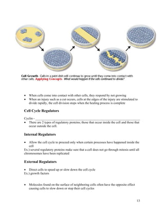 Biology - Chp10 - Cell Growth and Reproduction - Notes | DOC