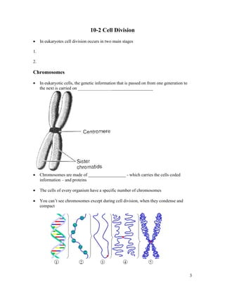 Biology - Chp10 - Cell Growth and Reproduction - Notes | DOC