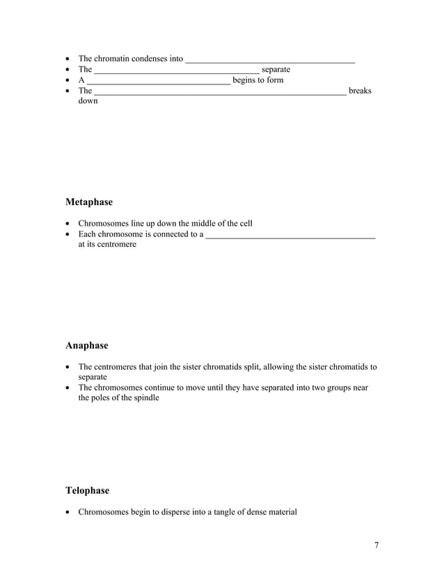 Biology - Chp10 - Cell Growth and Reproduction - Notes | PDF