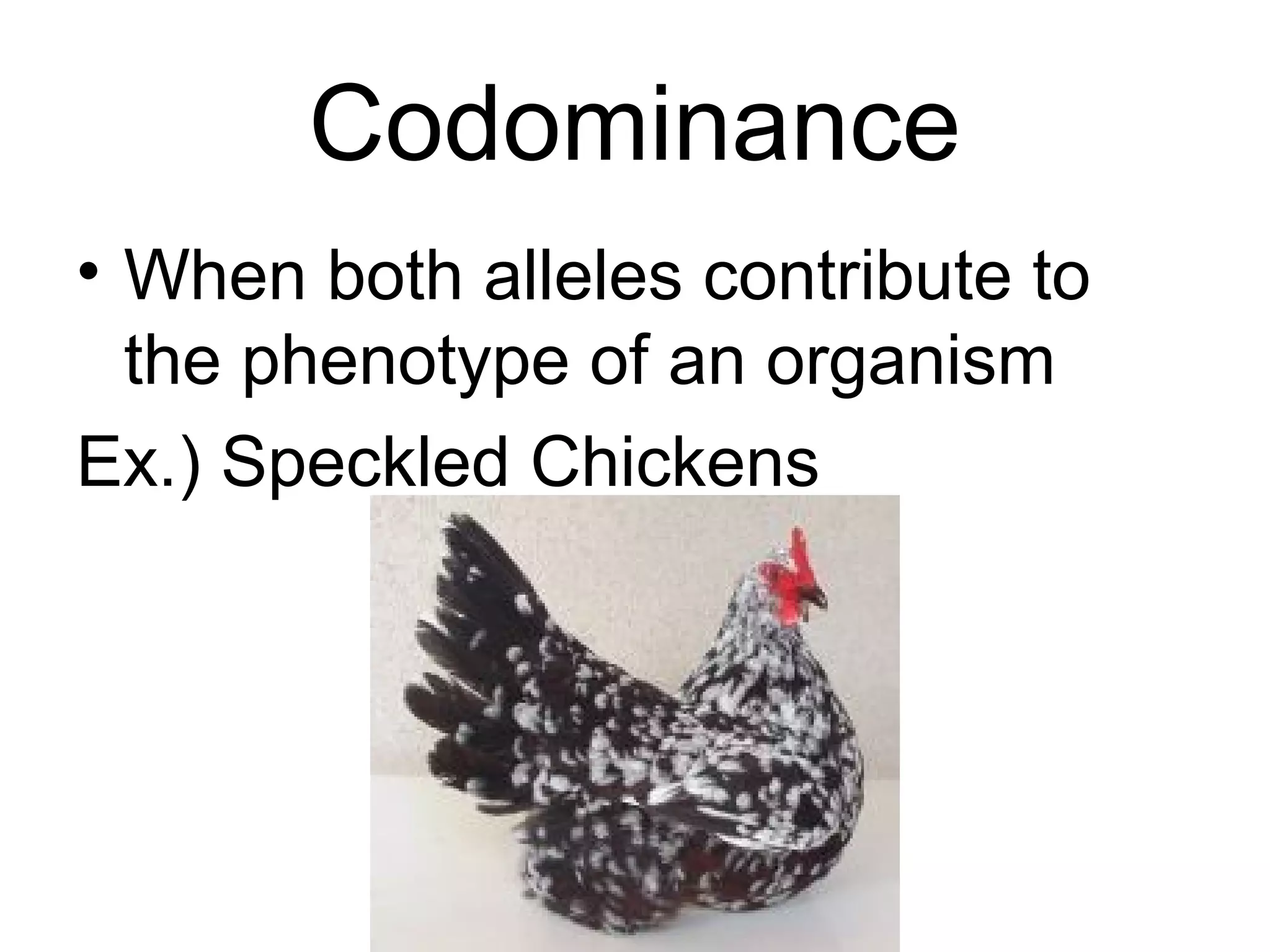 Biology - Chp 11 - Introduction To Genetics - PowerPoint | PPT