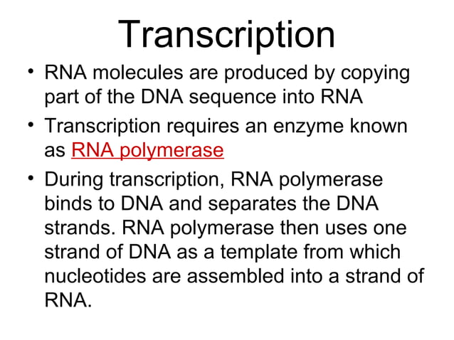 Biology - Chp 12 - DNA & RNA - PowerPoint | PPT