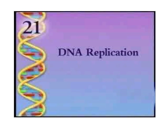 Biology - Chp 12 - DNA & RNA - PowerPoint | PPT