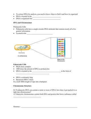 Biology - Chp 12 - DNA and RNA - Notes | DOC