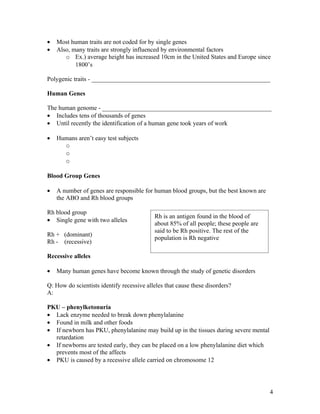 Biology - Chp14 - Human Heredity - Notes | DOC