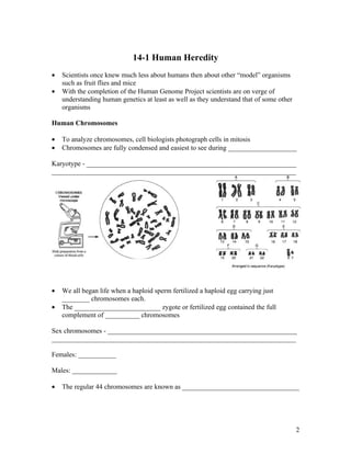 Human Heredity And Genetics