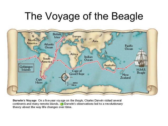 Biology - Chp 15 - Darwins Theory Of Evolution - PowerPoint | PPT