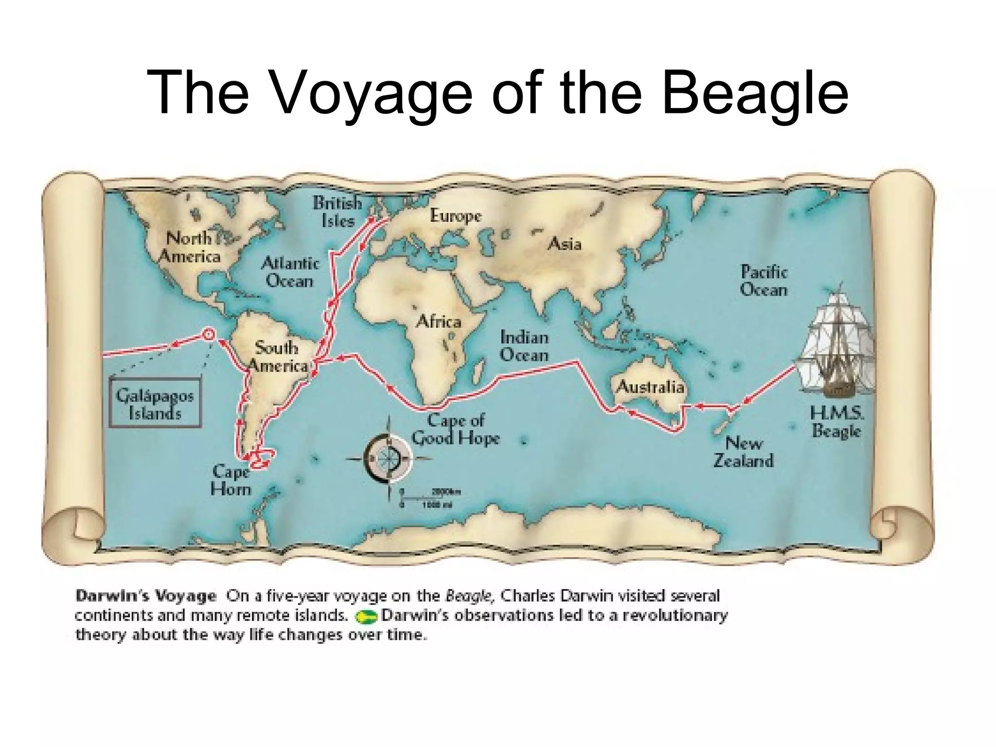 Biology - Chp 15 - Darwins Theory Of Evolution - PowerPoint | PPT