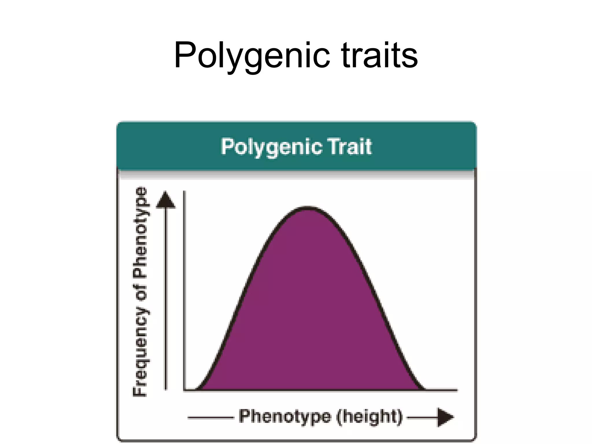 Biology - Chp 16 - Evolution Of Populations - Powerpoint | PPT