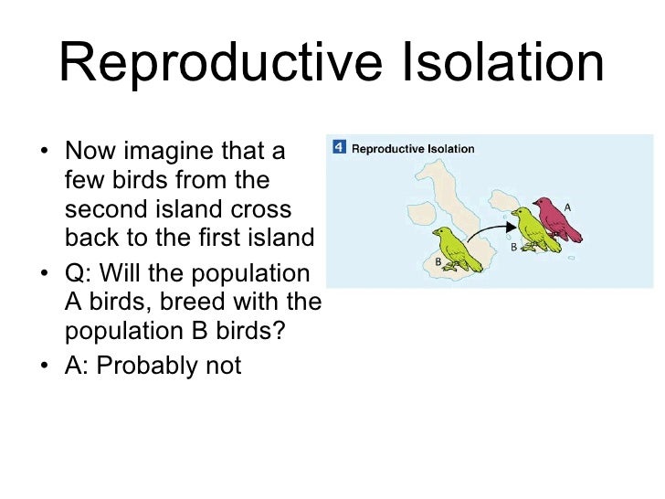 Ppt Chapter 16 Evolution Of Populations Powerpoint