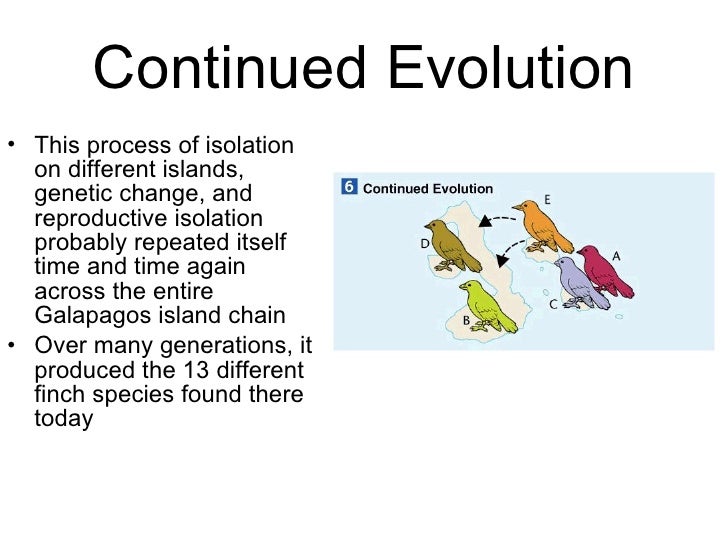 Ppt Chapter 16 Evolution Of Populations Powerpoint