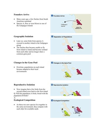 Biology - Chp 16 - Evolution of Populations - Notes | PDF