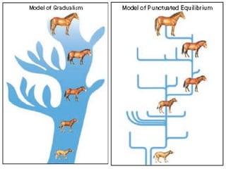 Gradualism Science Timeline